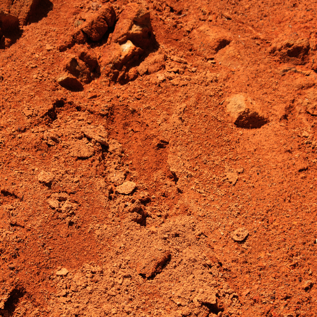 Why Do Soils Have Different Colors? Understanding the Science Behind ...