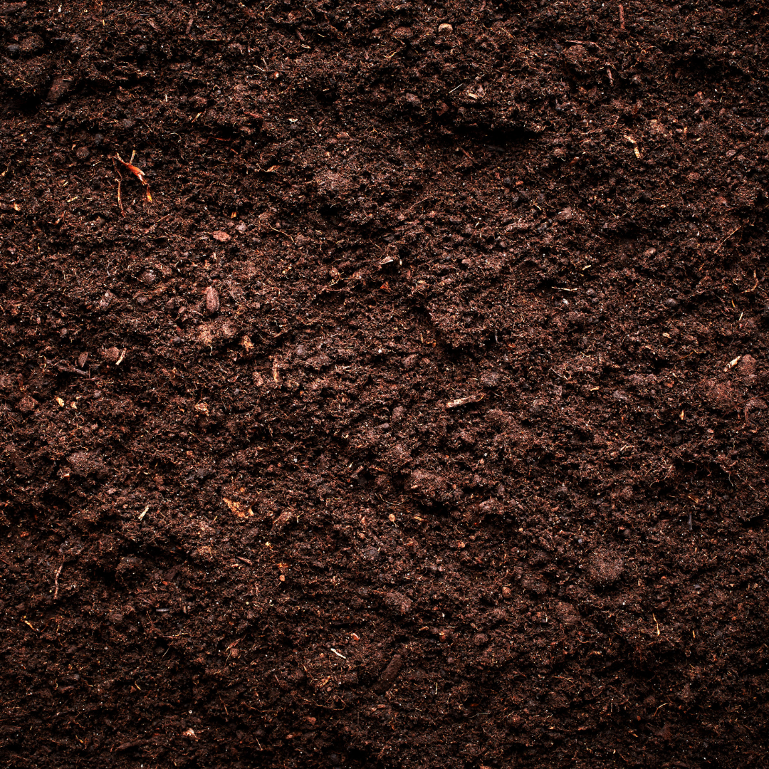Why Do Soils Have Different Colors? Understanding the Science Behind ...