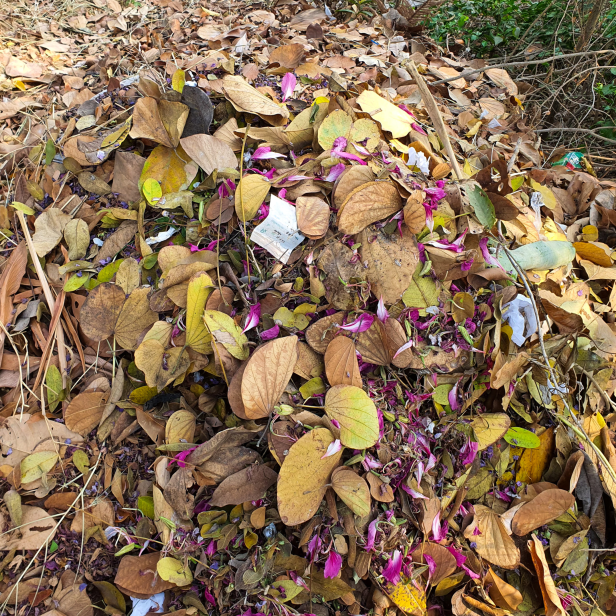 Exploring How Soil Properties Vary with Depth: The Role of Humus and ...