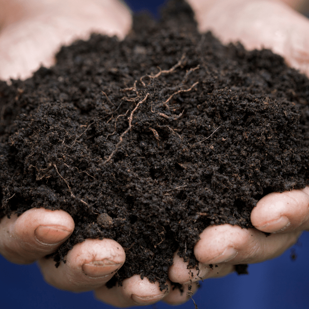 Exploring How Soil Properties Vary with Depth: The Role of Humus and ...