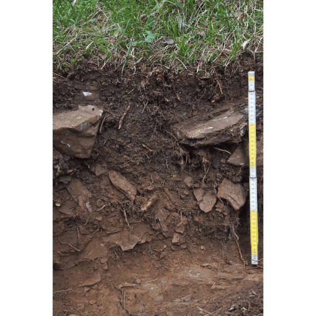 Understanding Soil Horizons: Layers of the Earth Beneath Our Feet ...