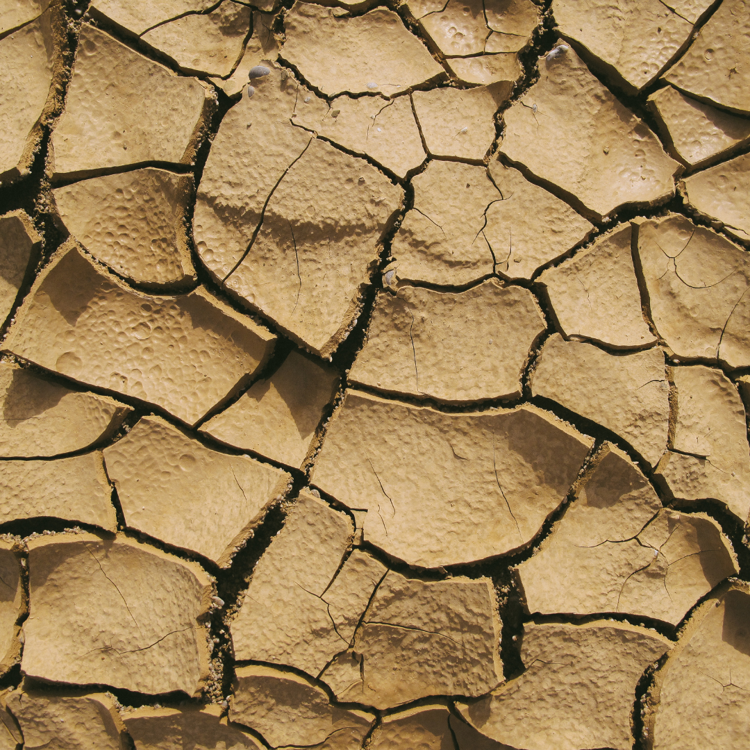 Soil Structure: Understanding the Different Types – Moccasin Cove