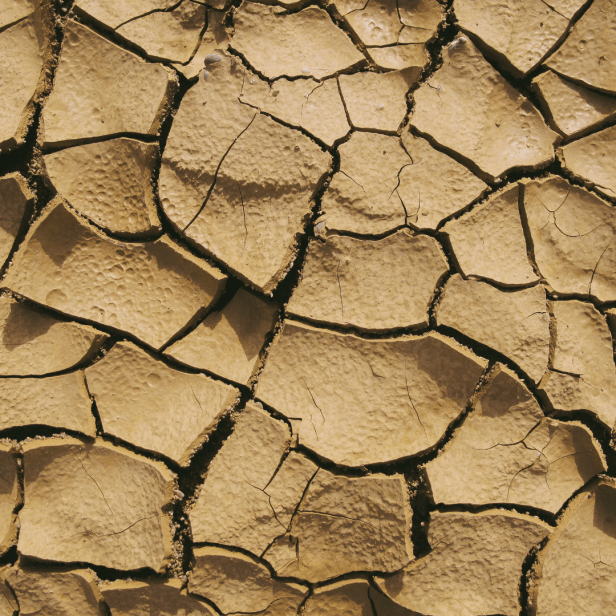 Soil Structure: Understanding the Different Types – Moccasin Cove